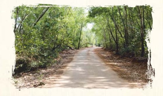 ABOUT – Vishnugupta ~ VishwaVidyapeetham